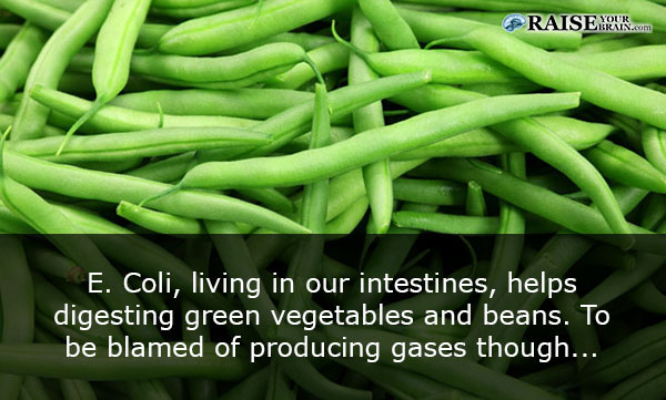 17 Interesting large intestine facts: Human body facts - RaiseYourBrain