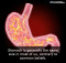 12 Interesting stomach facts: Human body facts - RaiseYourBrain
