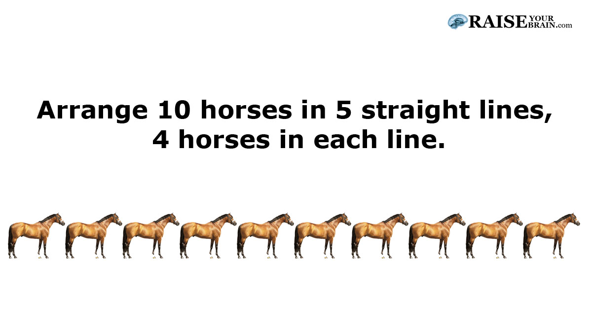 Quiz with horses - Raise Your Brain
